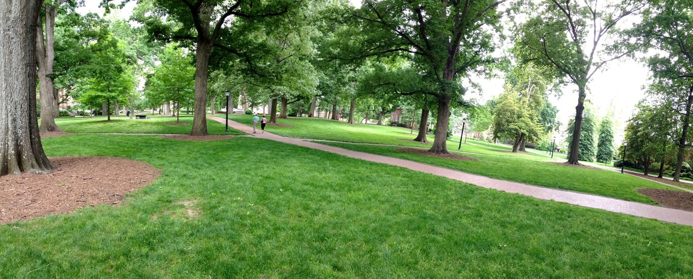 BOG buys time for a Silent Sam solution - Public Ed Works