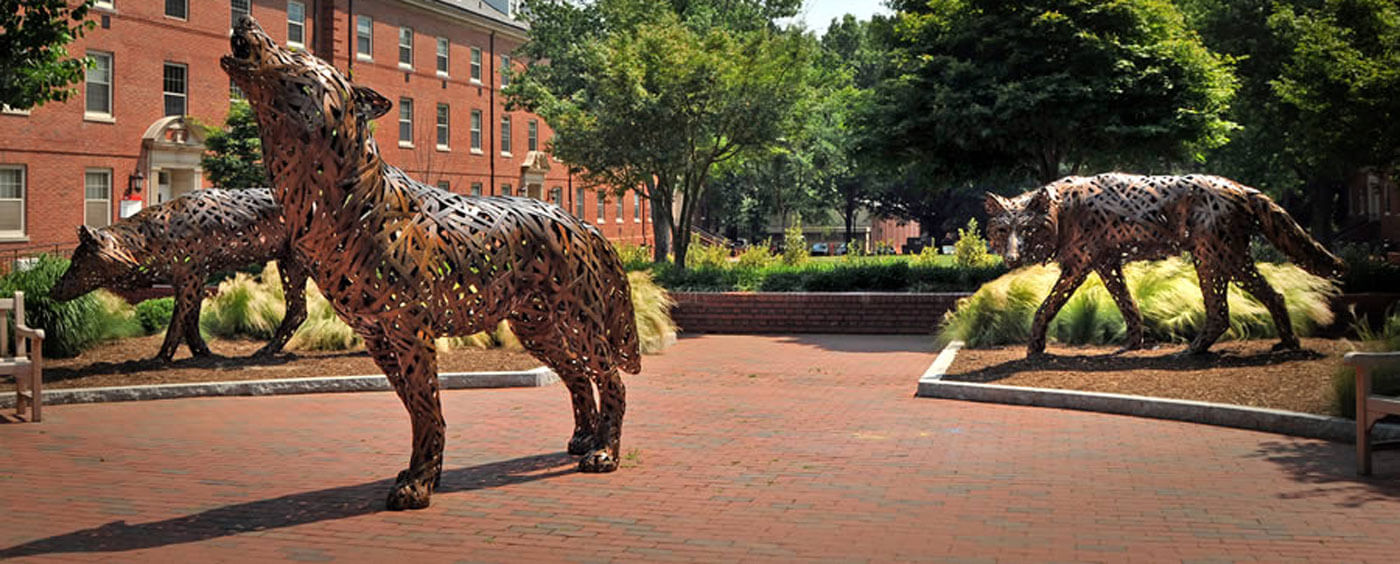 NC State aims for a full spring semester - Public Ed Works